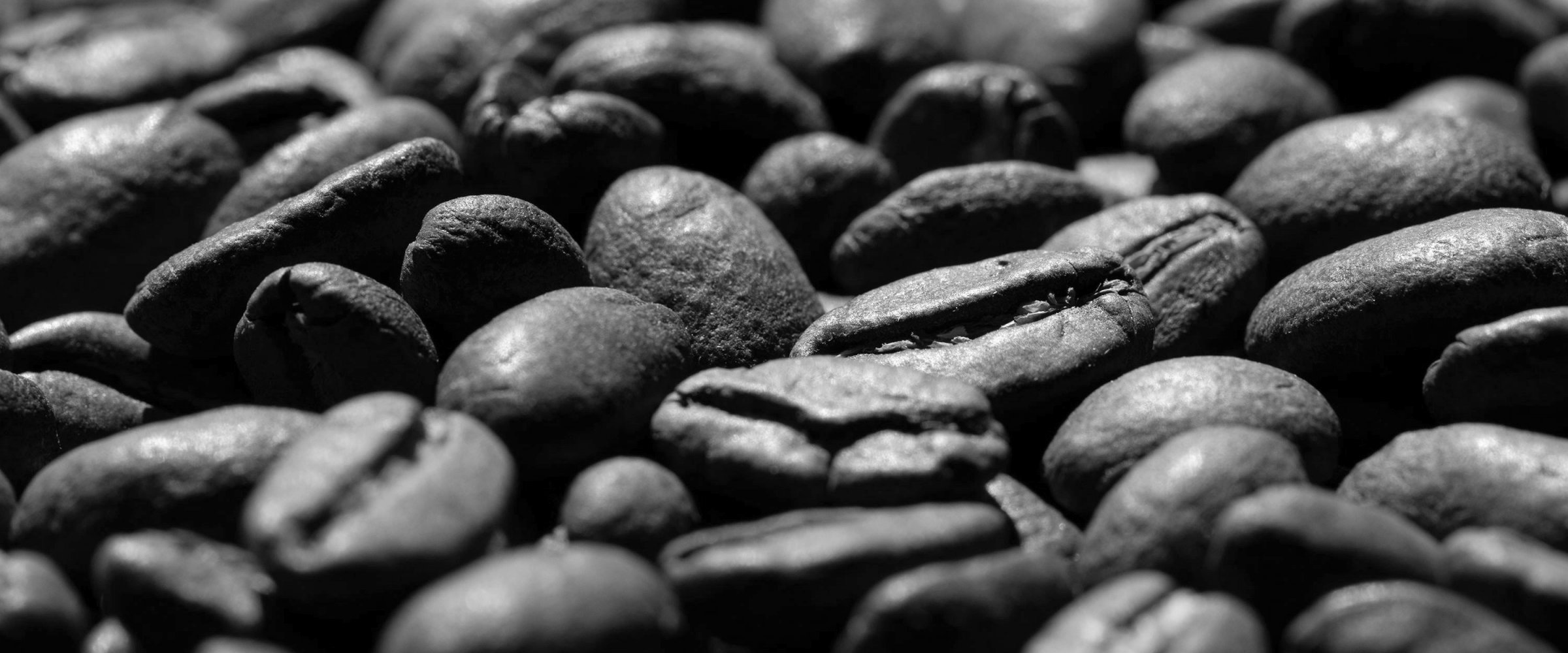 Cuppa Series | Maplewood Brewery & Distillery